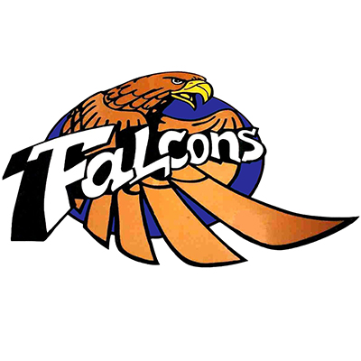 Foley High School Logo